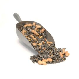 Blue Jay Mix – The Wild Bird Store