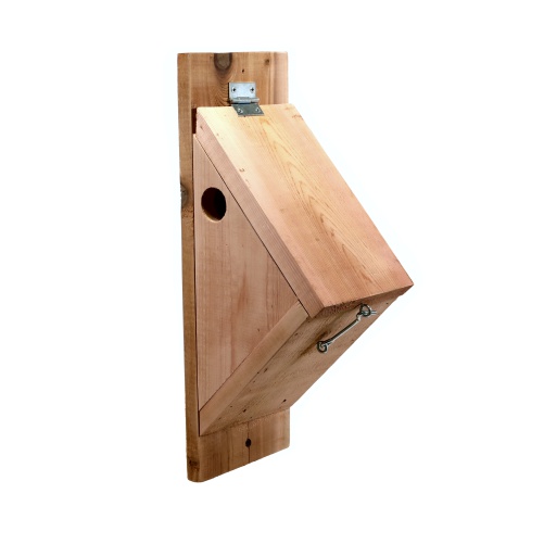 Unique Style Houses – The Wild Bird Store