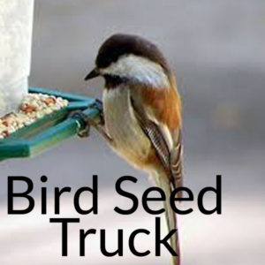 The Wild Bird Store – Southern Alberta's Backyard Birding Specialist