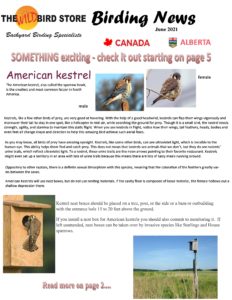 The Wild Bird Store – Southern Alberta's Backyard Birding Specialist