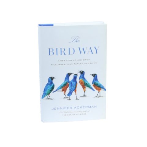 The Bird Way – The Wild Bird Store